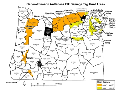 General Season Antlerless Elk Damage tag | Oregon Department of Fish ...