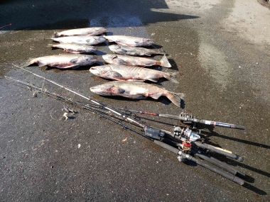 How to recognize and report poaching on the water | Oregon Department ...