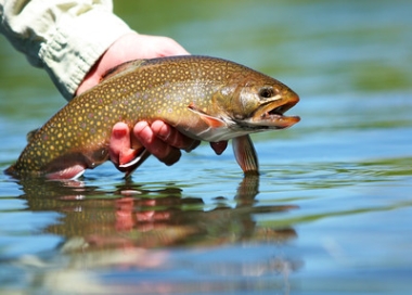 Fishing Report - Southeast Zone | Oregon Department of Fish & Wildlife