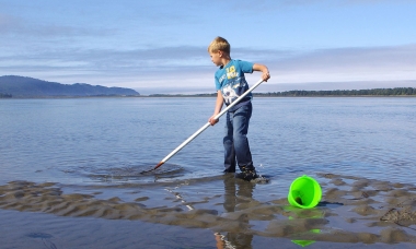 How to Bay Clam | Oregon Department of Fish & Wildlife