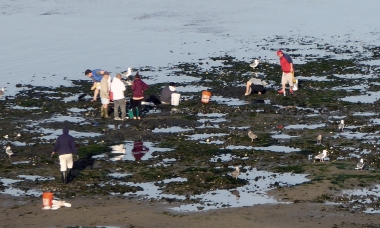 Crabbing & Clamming | Oregon Department of Fish & Wildlife