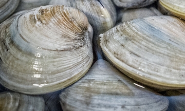 Southwest Zone | Oregon Department of Fish & Wildlife